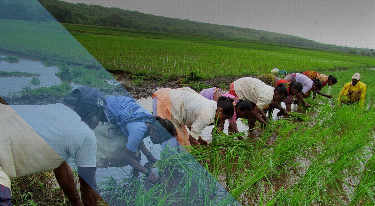 JSW - Program page - Agri-initiatives